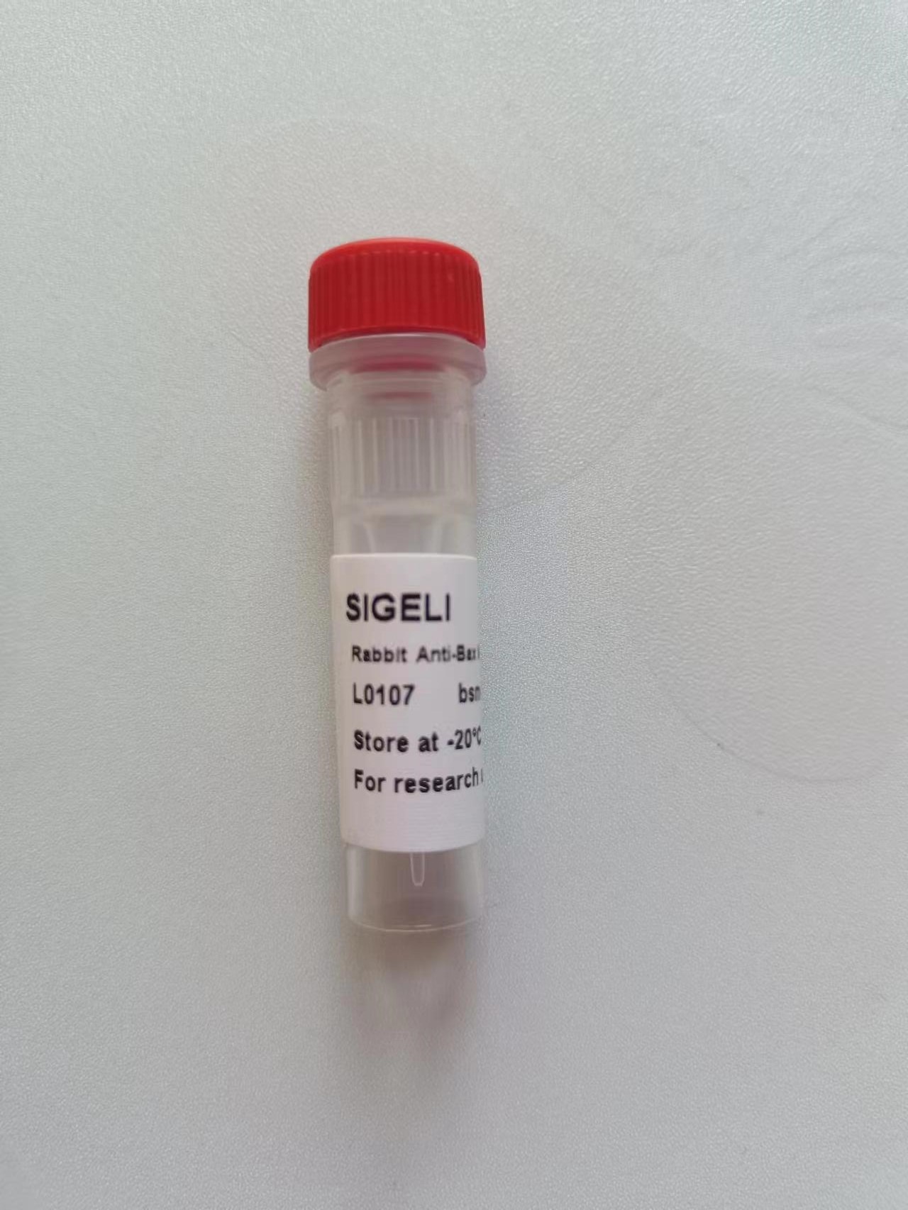 斯格利品牌商城